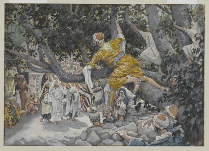 Zacchaeus in the Sycamore Awaiting the Passage of Jesus (Zachée sur le ...