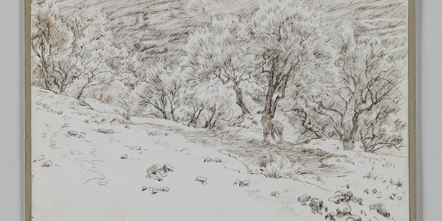 Olive Trees, Valley of Hinnom (Oliviers, vallée de Hinon) · Brooklyn Museum