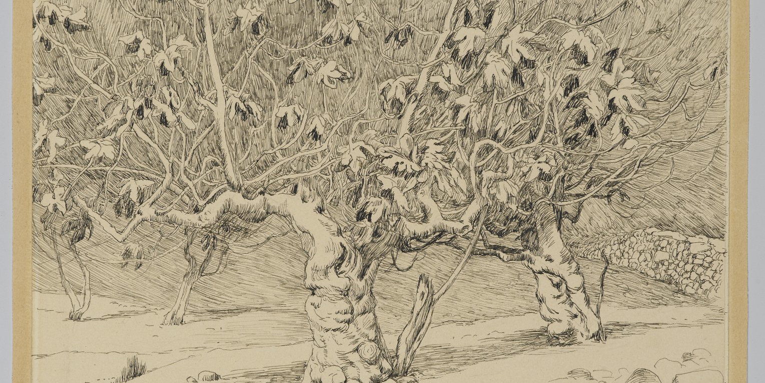 Fig-tree, Valley of Hinnom · Brooklyn Museum