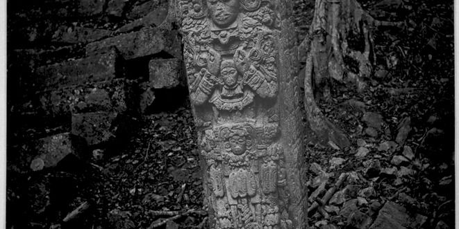 Copan. Stela P, West Face · Brooklyn Museum