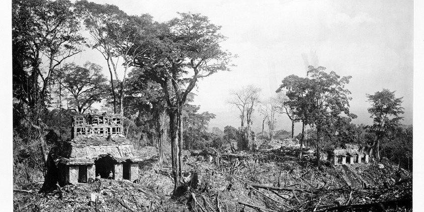 Palenque. View of the Temple of the Sun and the Palace · Brooklyn Museum
