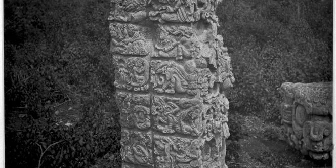 Copan. Stela D · Brooklyn Museum