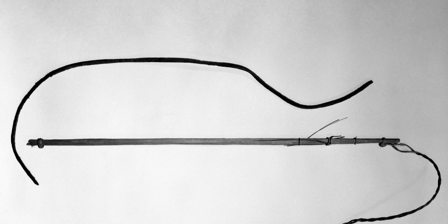 Bird Snare (Dsidi Be Odhhi) · Brooklyn Museum