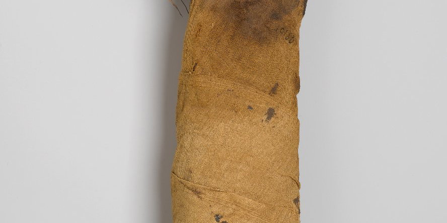 Mummified Dog · Brooklyn Museum