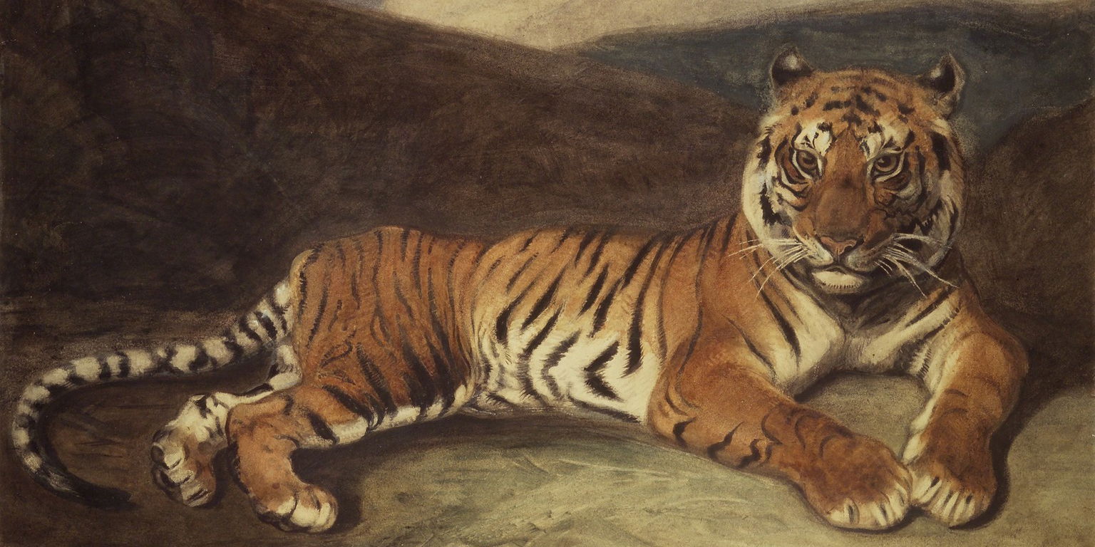 Tiger Reclining (Tigre couché) · Brooklyn Museum