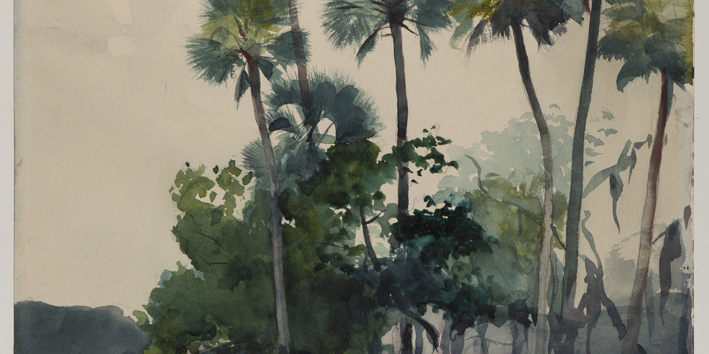 Homosassa River · Brooklyn Museum