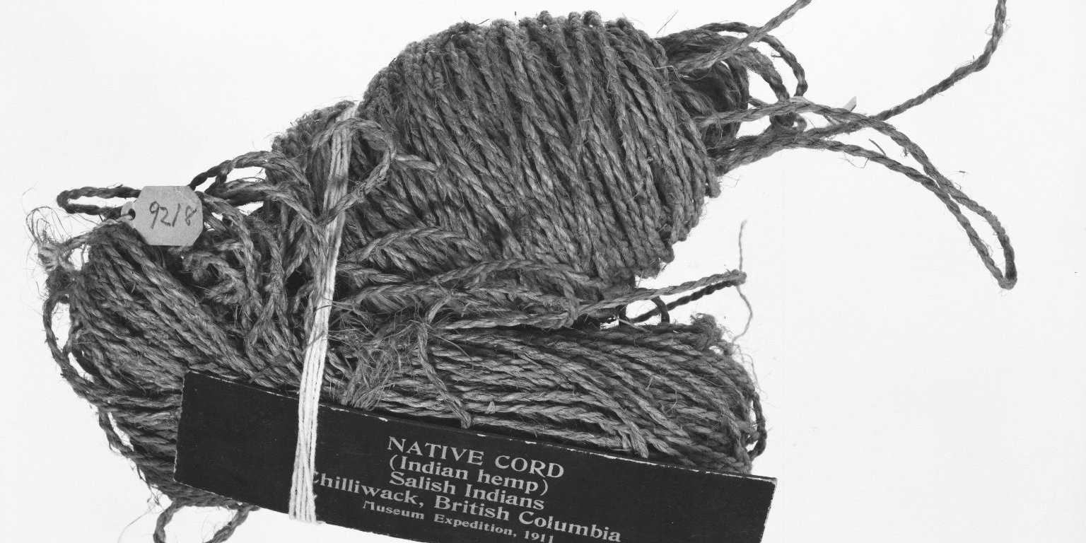 Indian Hemp · Brooklyn Museum