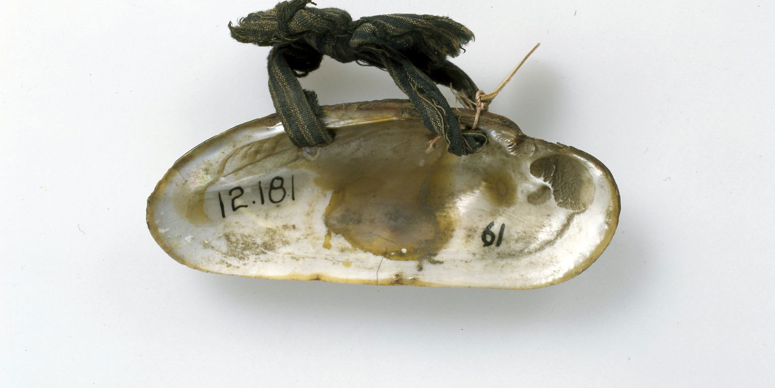 Reaping Knife · Brooklyn Museum