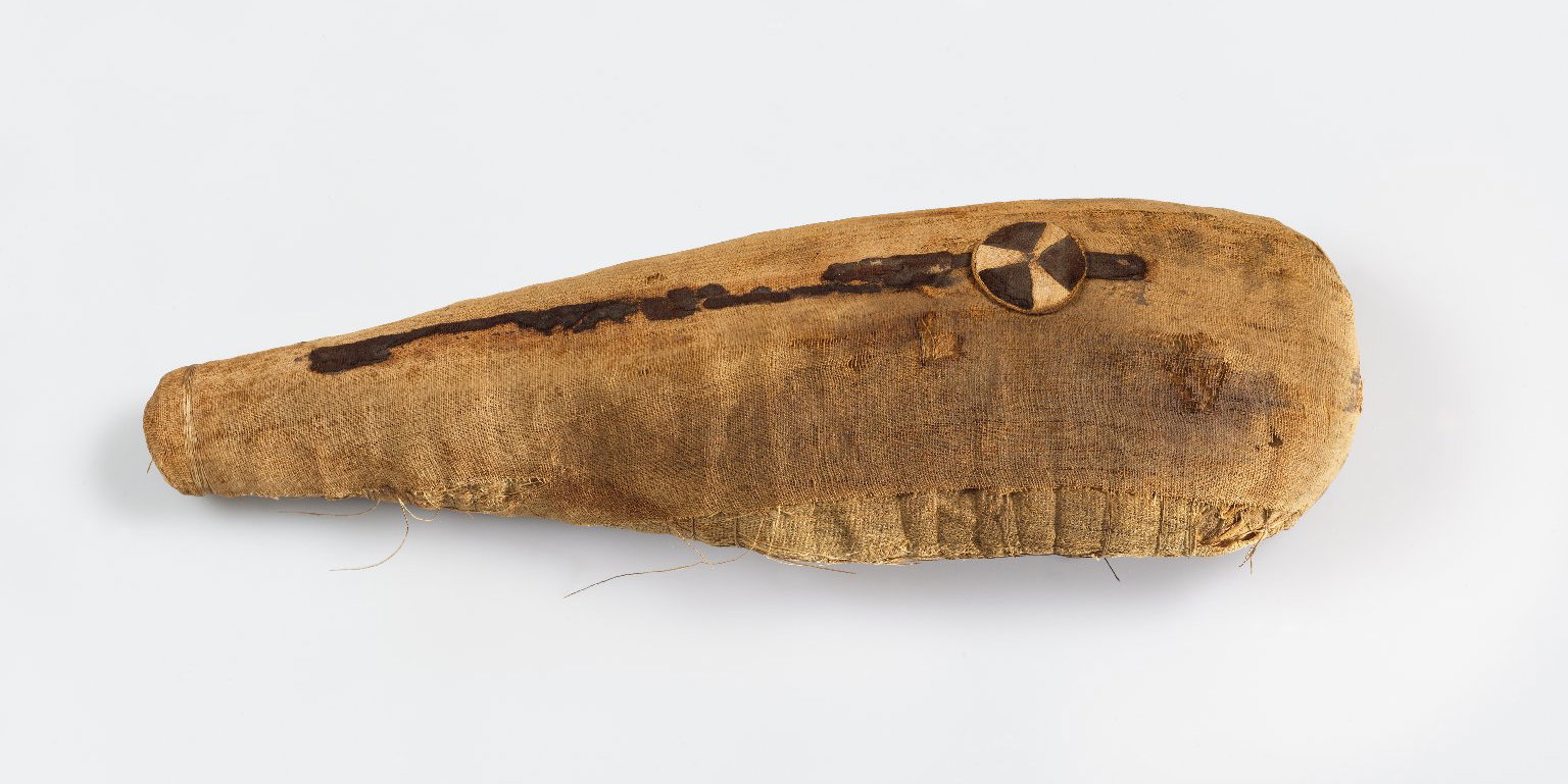 Ibis Mummy · Brooklyn Museum