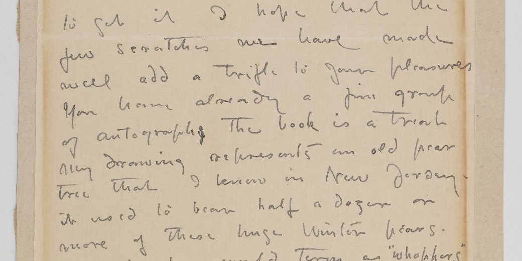 Autographed Letter by J. Francis Murphy · Brooklyn Museum