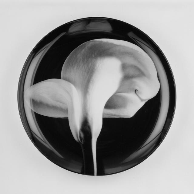 Plate, "Calla Lily" · Brooklyn Museum