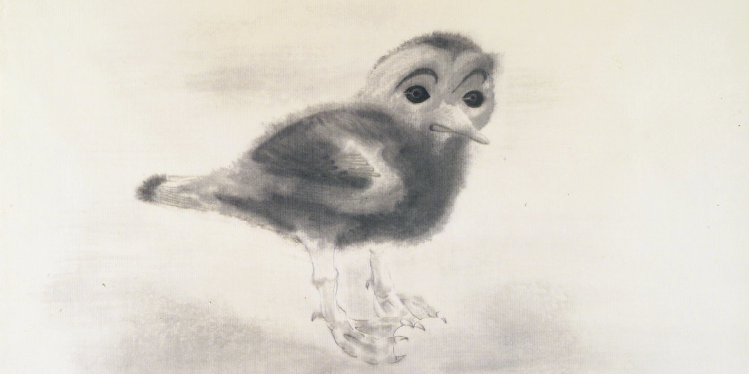 Young Irish Bird · Brooklyn Museum