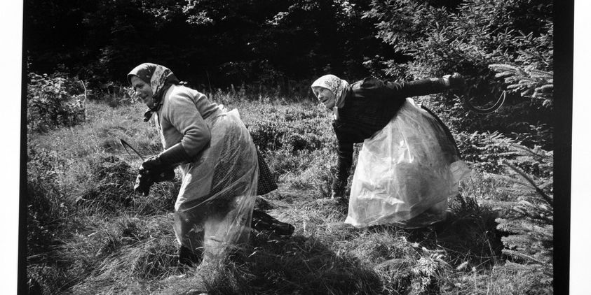 Legnava II, Ruthenia, Slovakia, Peasant Women With Scythes · Brooklyn ...