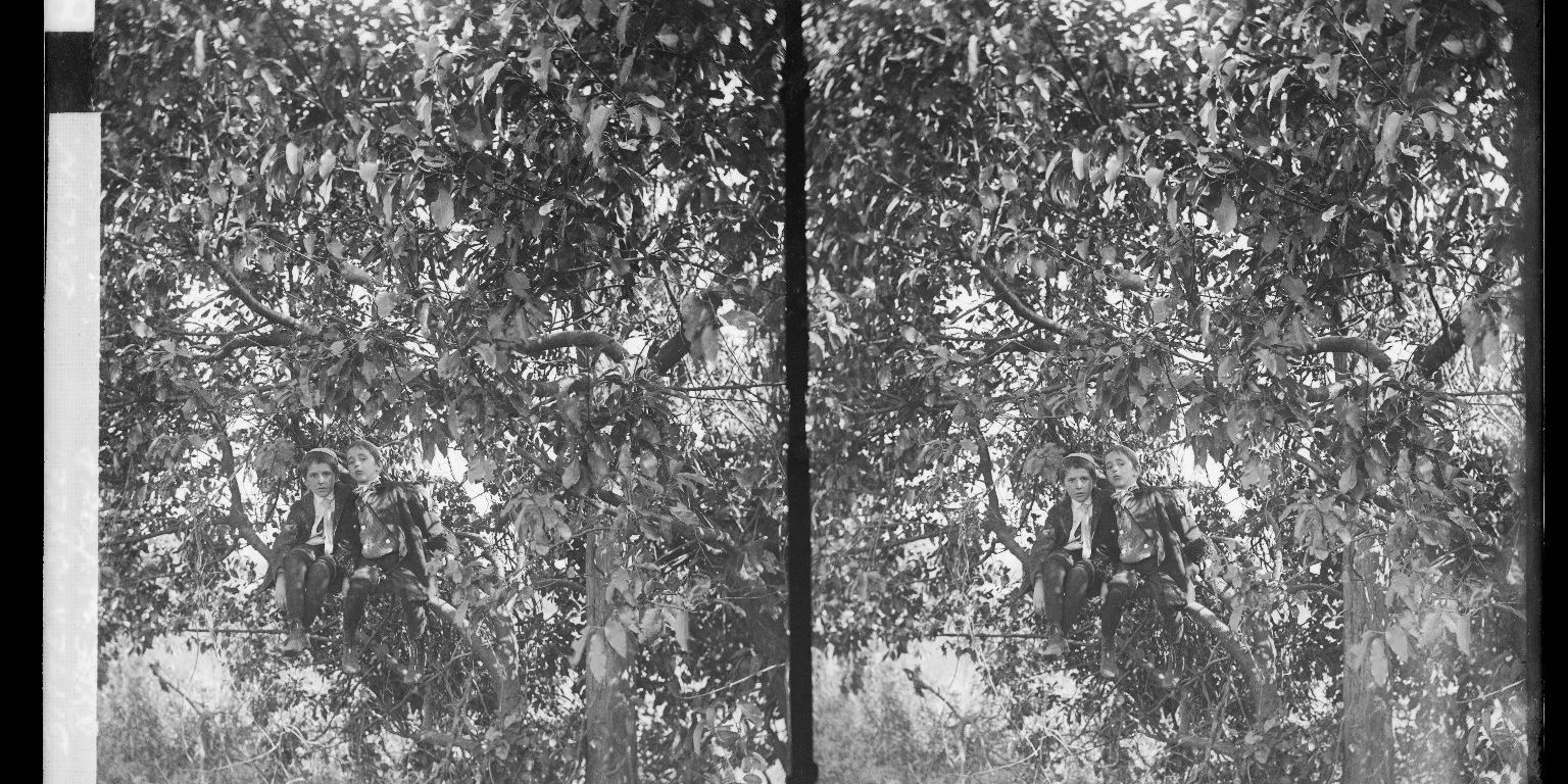 Ryder's Pond (Strome Kill), Ralph and Marshall in a Tree, Avenue T and Marsh Street, Brooklyn ...