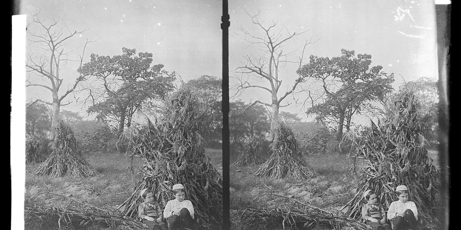 Boys and Corn-Stacks, near Bergen Van Wyck House (outside of Frame Lots ...