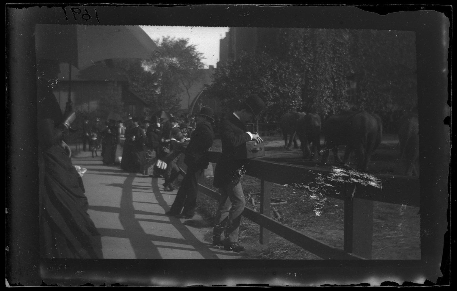 Gregg Camera, Central Park, New York · Brooklyn Museum