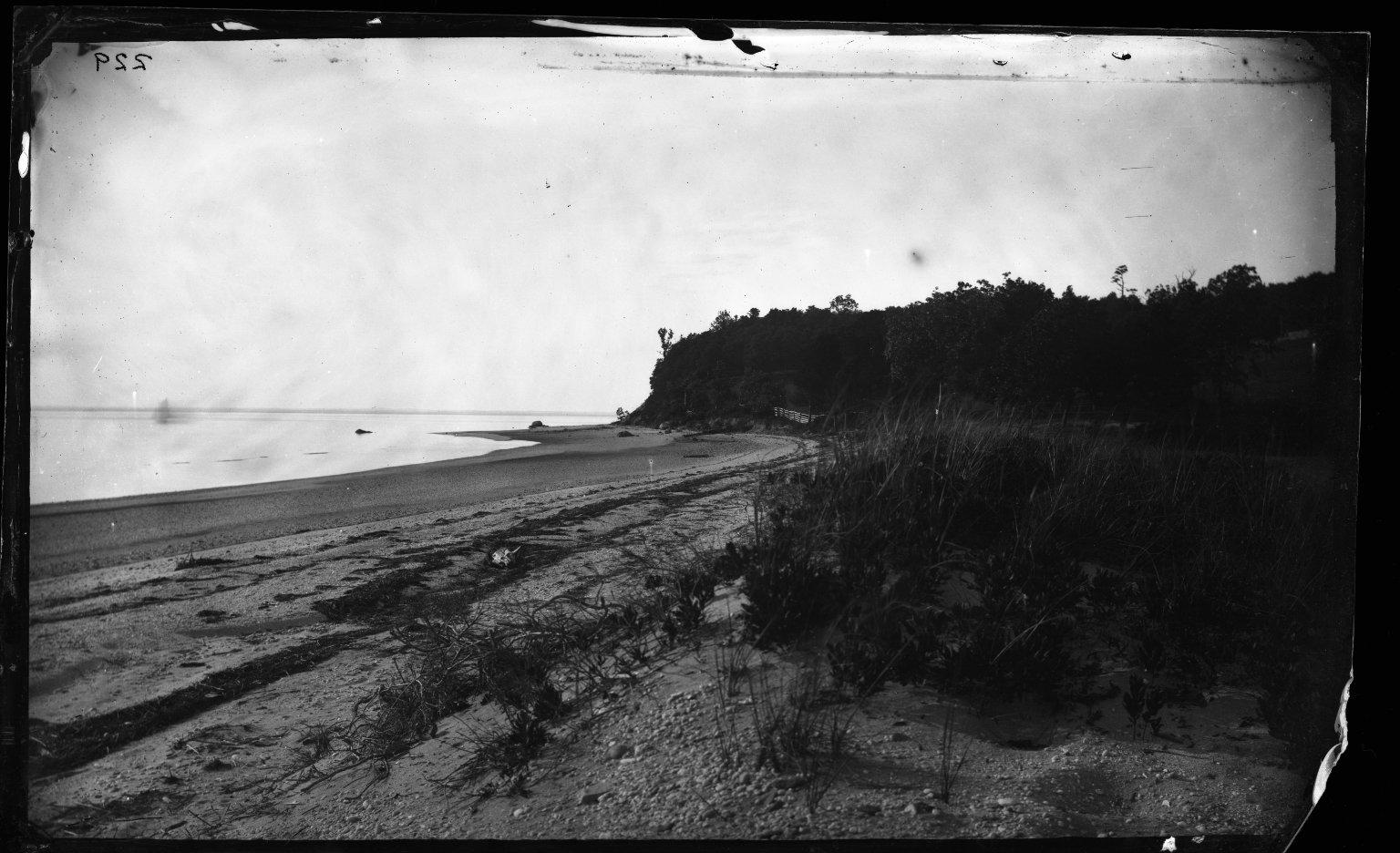 West Shore, Eaton Neck, Long Island · Brooklyn Museum