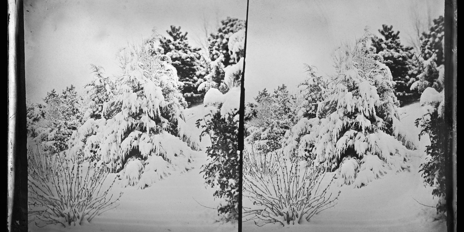 Snow Scene, Prospect Park, Brooklyn · Brooklyn Museum