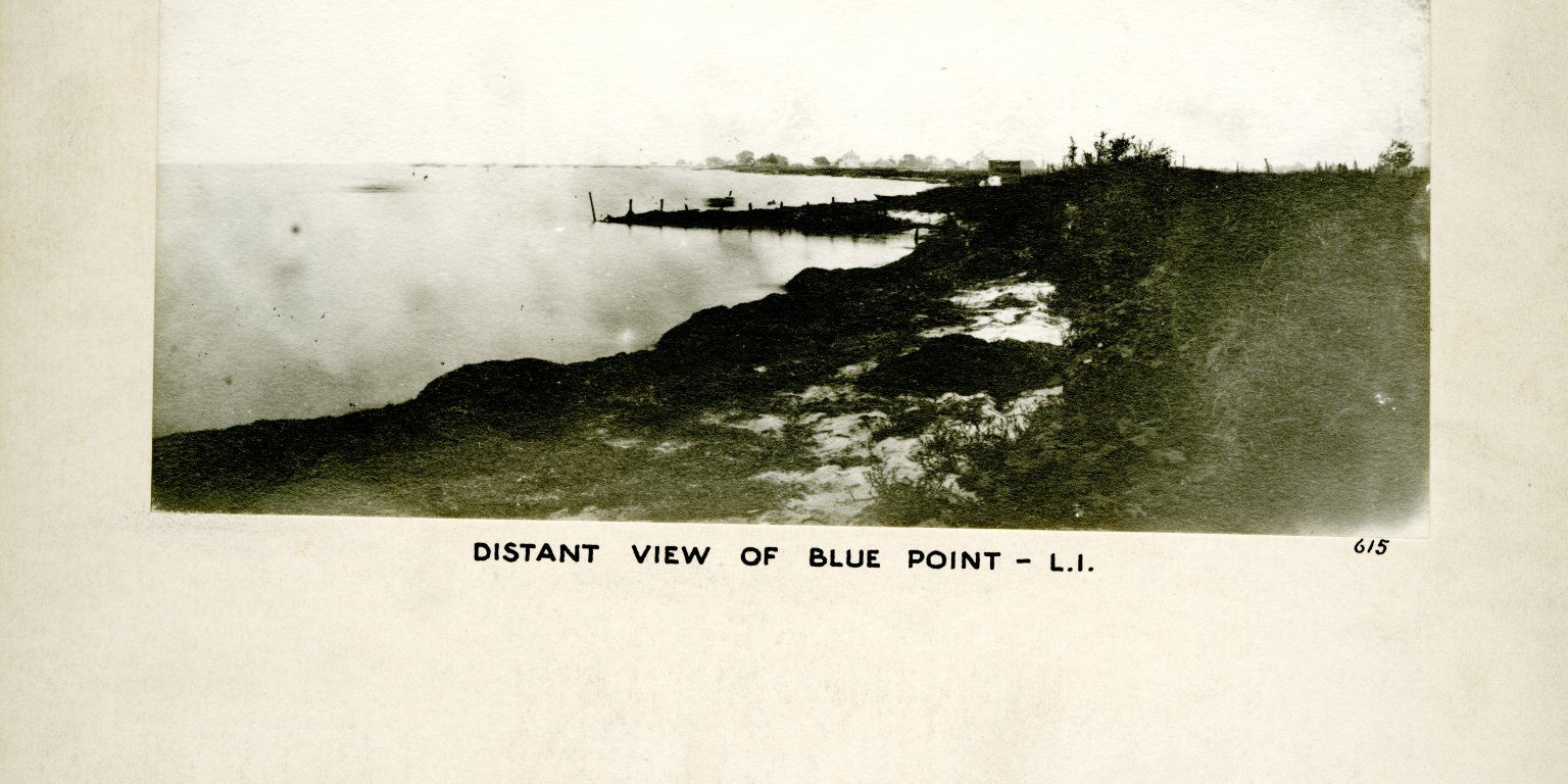 Distant View of Blue Point, Long Island · Brooklyn Museum
