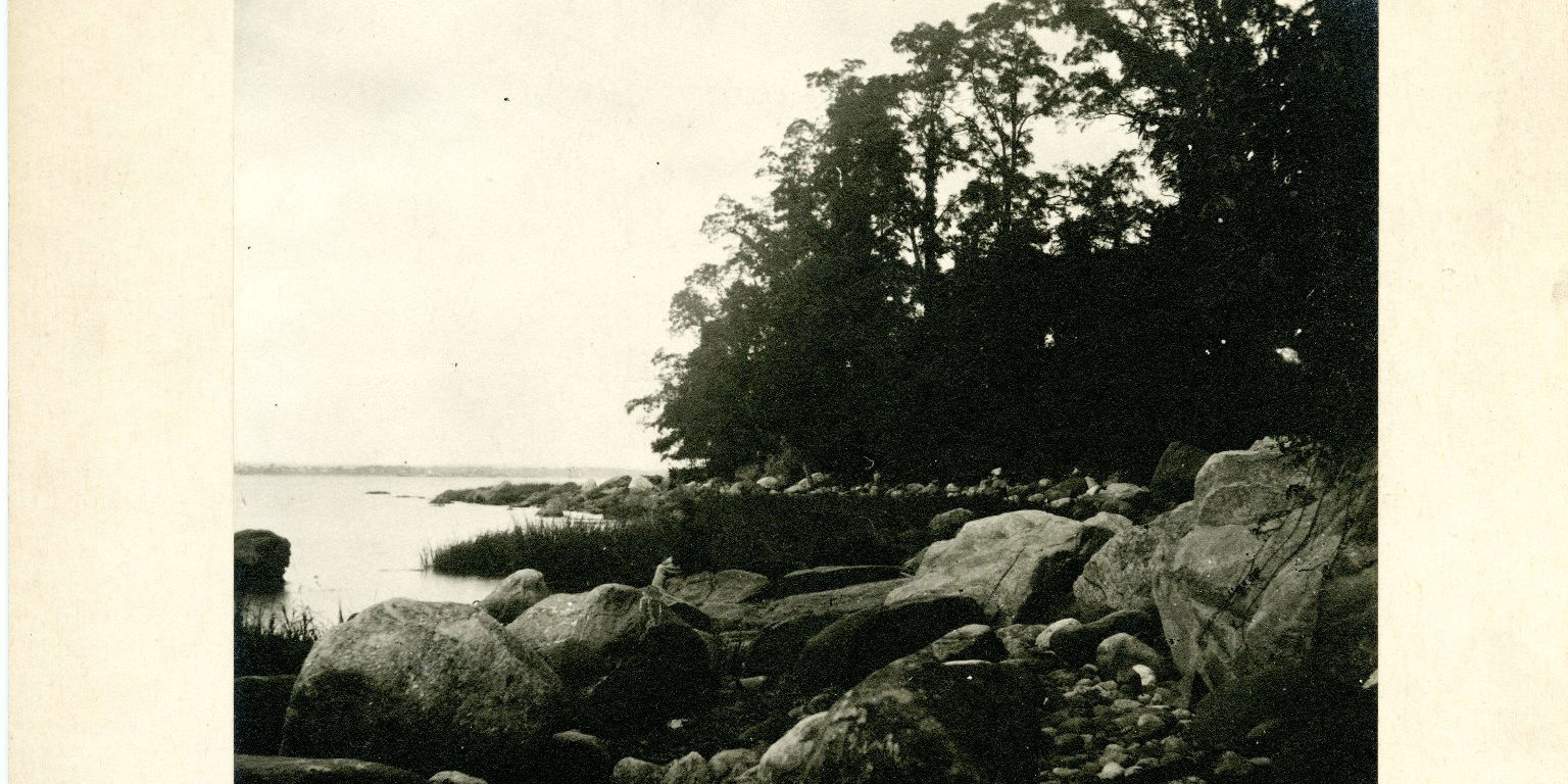 Rocky Shore, Great Neck, Long Island · Brooklyn Museum