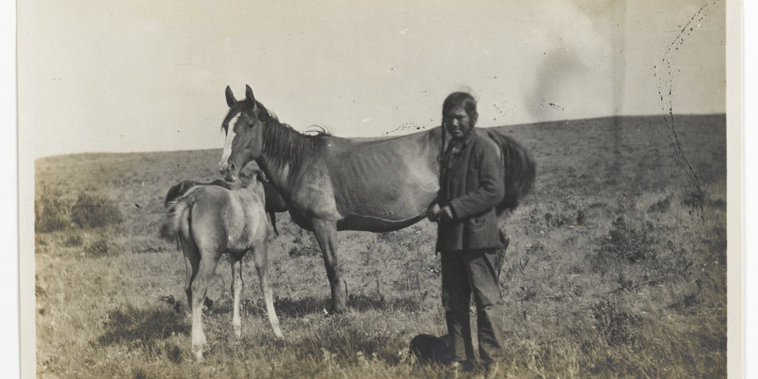 [Untitled] (Man Standing by a Mare and Two Foals) · Brooklyn Museum