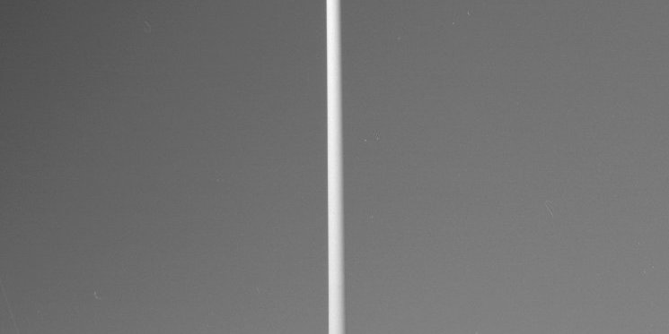 Fly-Swatter, "Dr. Skud" · Brooklyn Museum