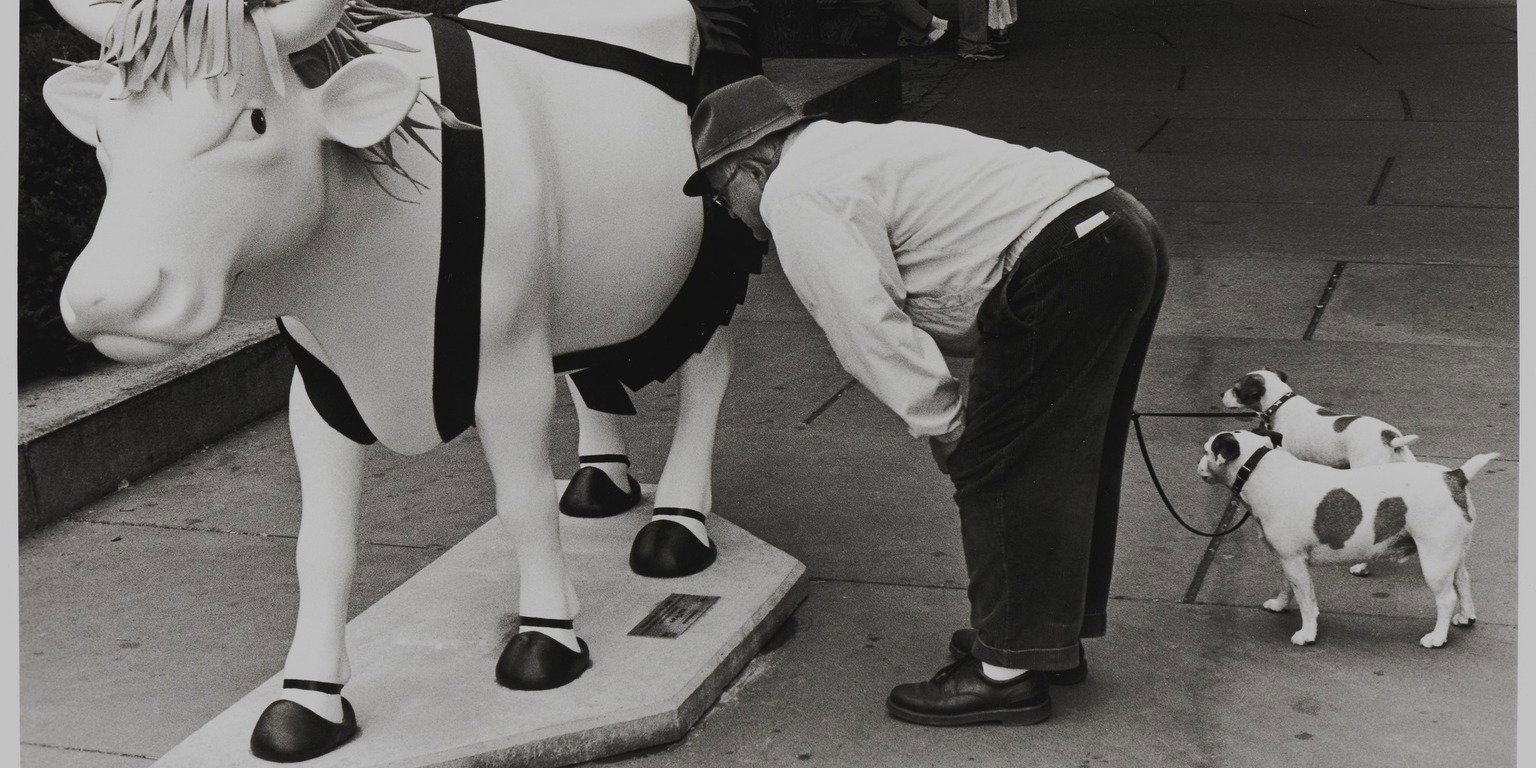 "Cow" N.Y.C. · Brooklyn Museum