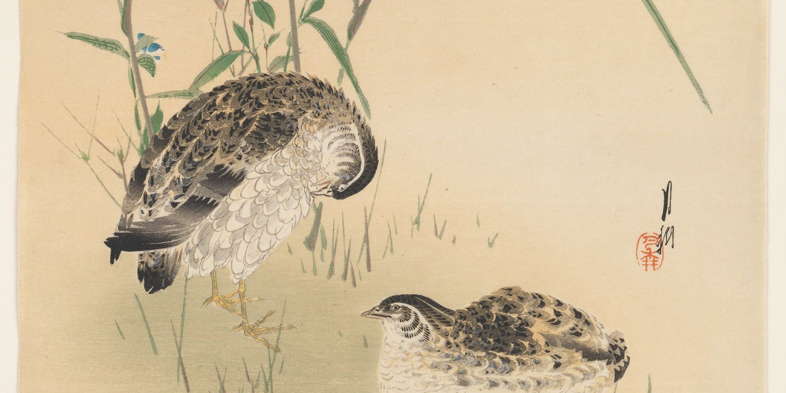 Two Quail · Brooklyn Museum
