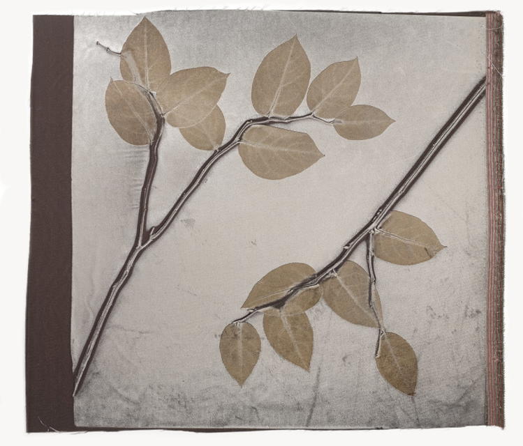 Kohl Lemon Leaf on Cobble · Brooklyn Museum