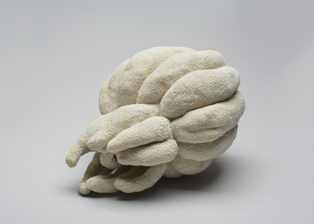 Biomorphic Sculpture · Brooklyn Museum