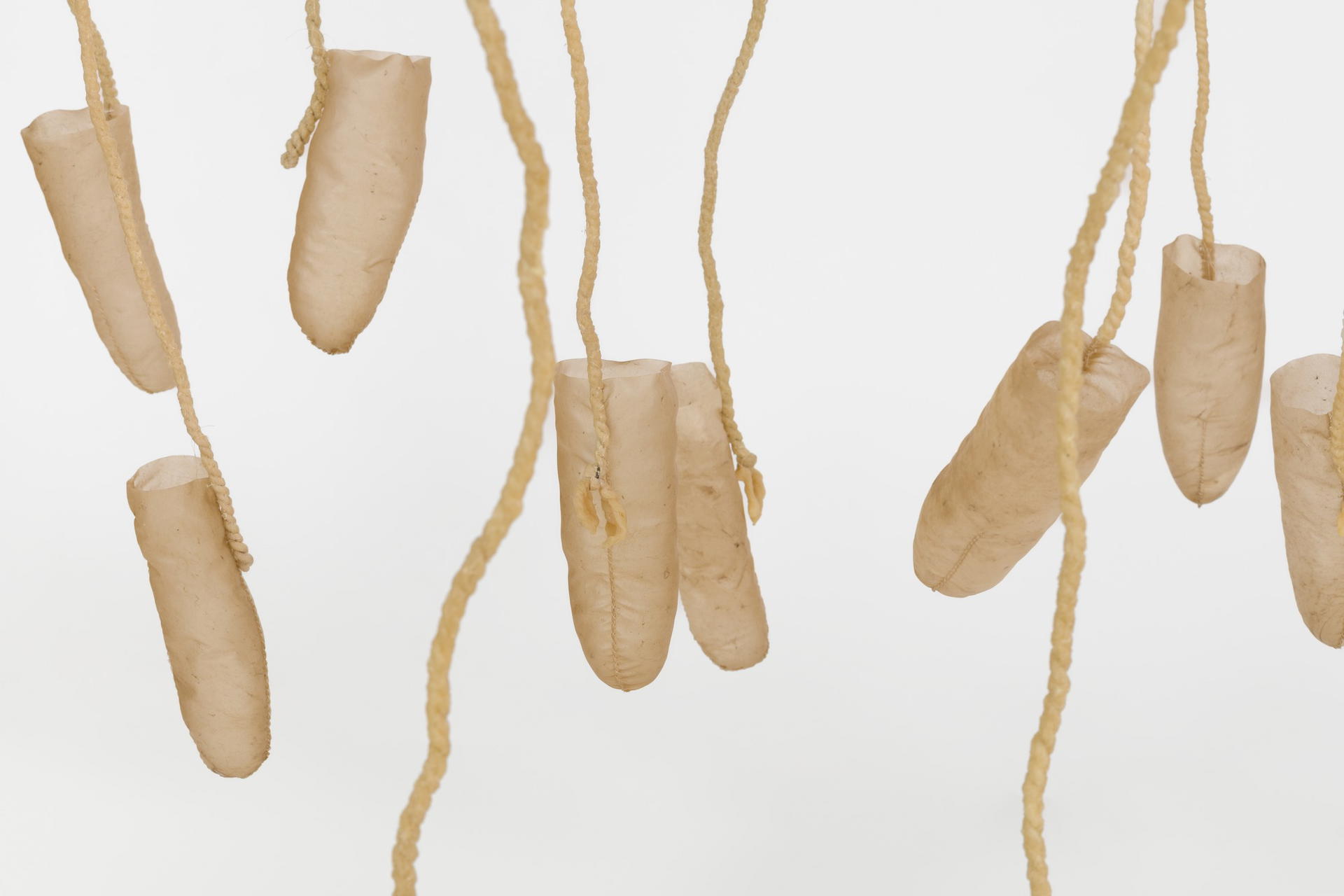 Natural Idiot Strings · Brooklyn Museum