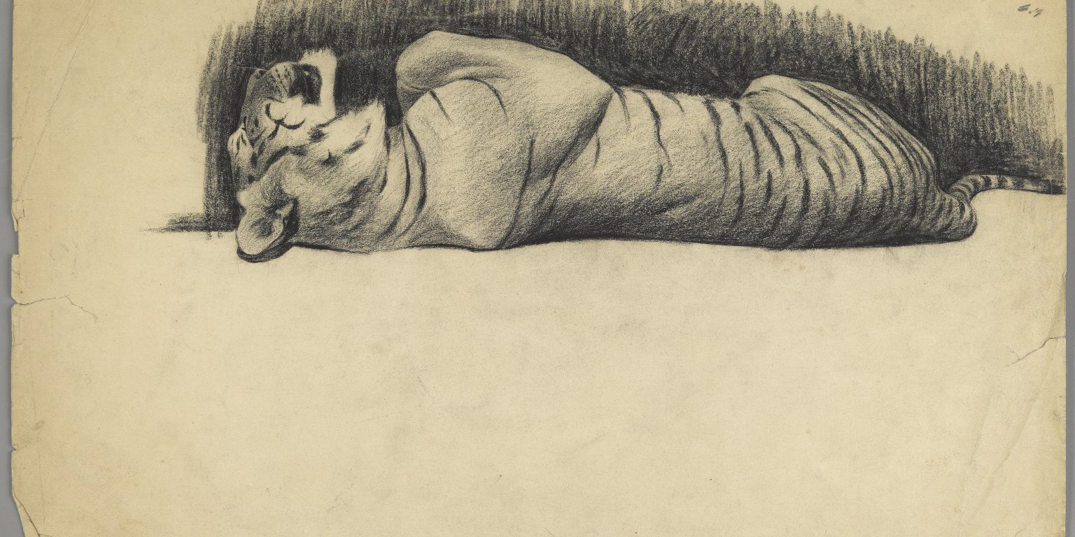 Sleeping Tiger · Brooklyn Museum