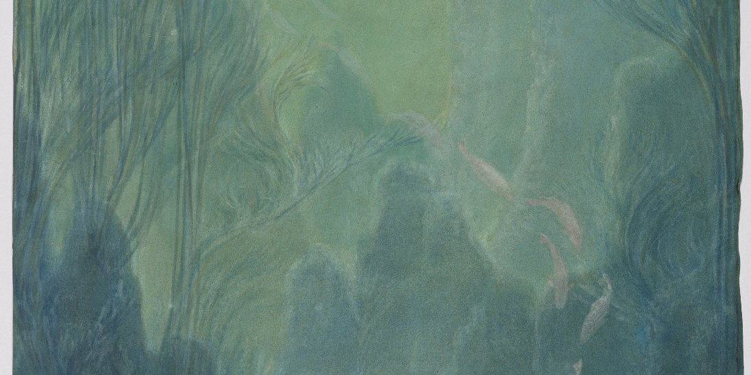 Bream in 25 Feet of Water Off the West Coast of Scotland · Brooklyn Museum