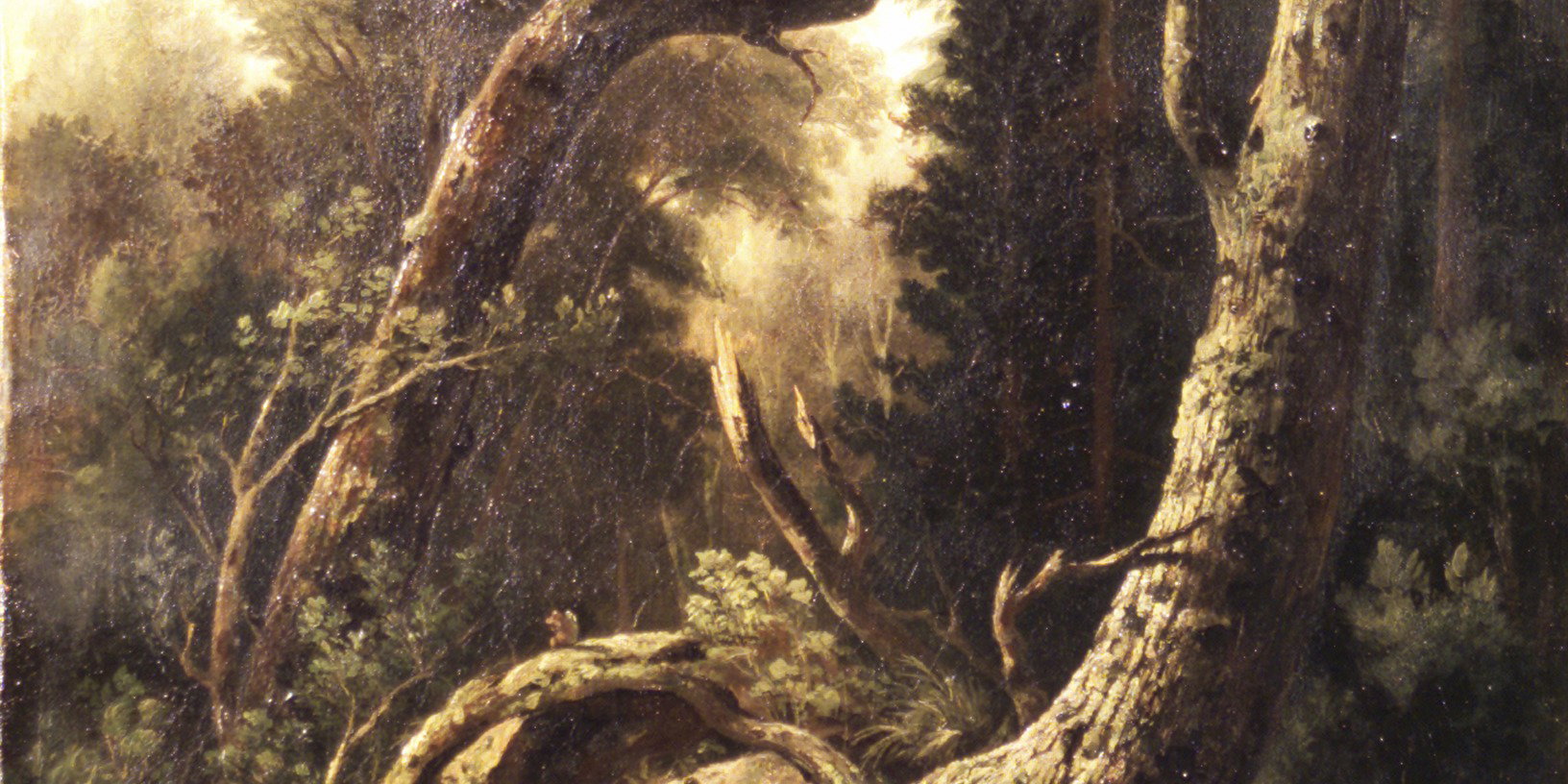 Forest Landscape · Brooklyn Museum