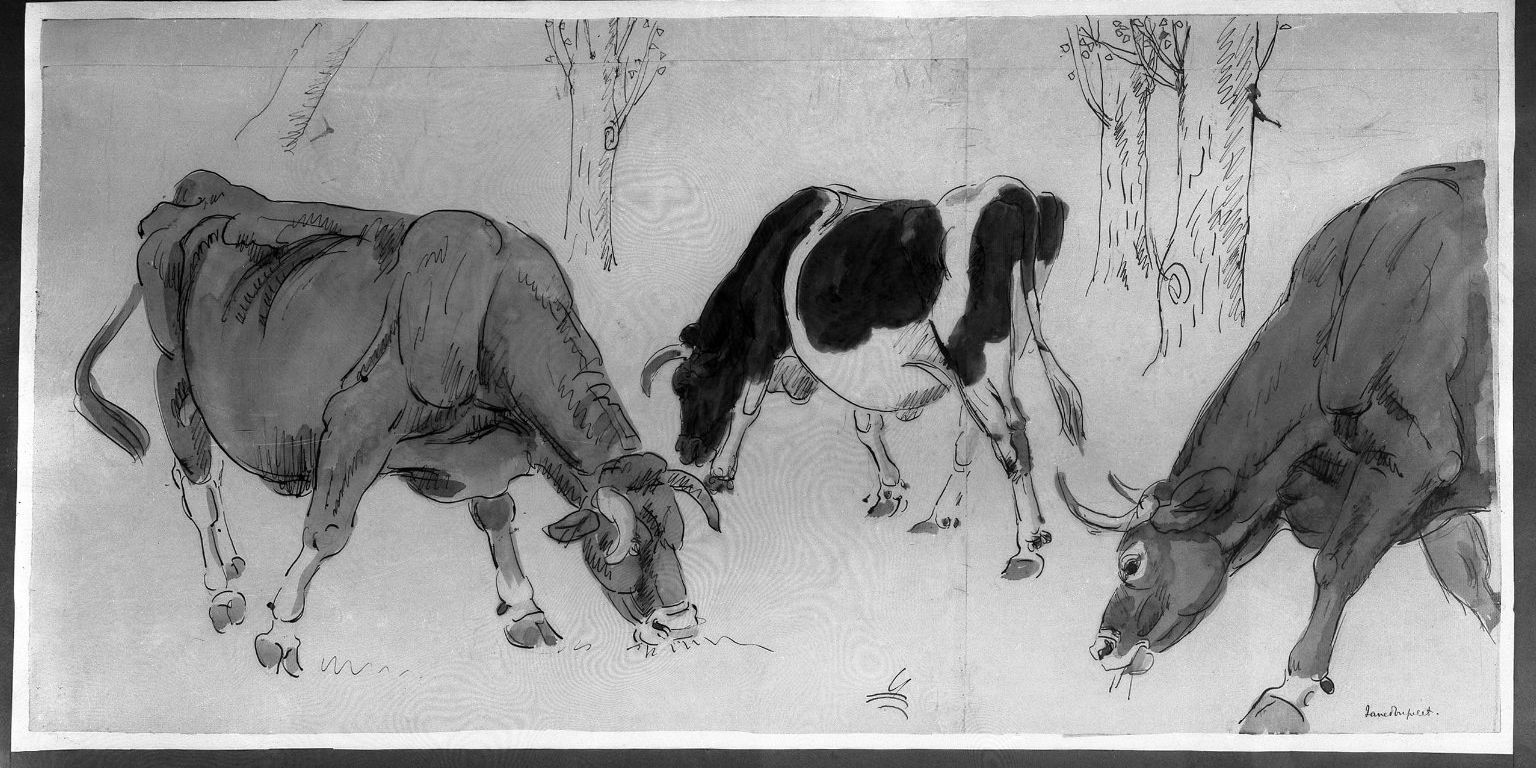 Cattle · Brooklyn Museum