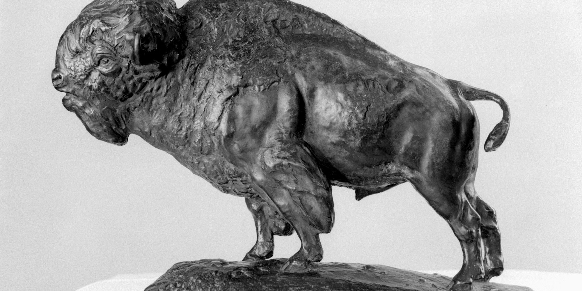Buffalo · Brooklyn Museum