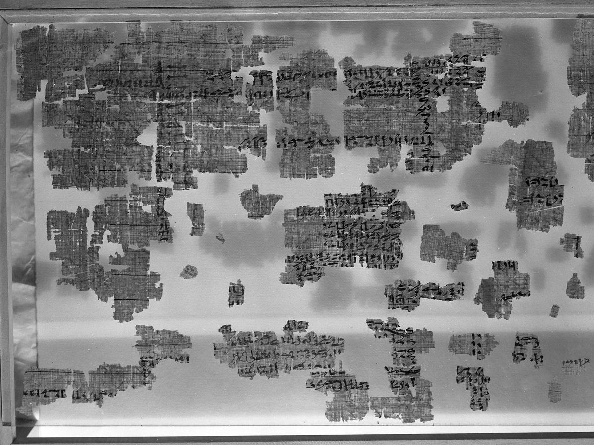 Portion of a Historical Text · Brooklyn Museum