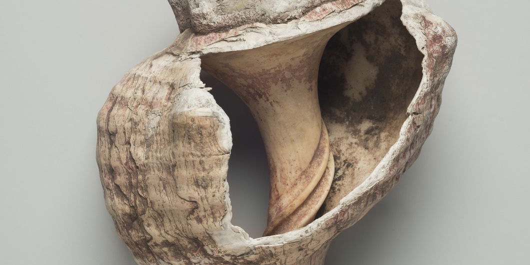 Conch Shell Trumpet · Brooklyn Museum