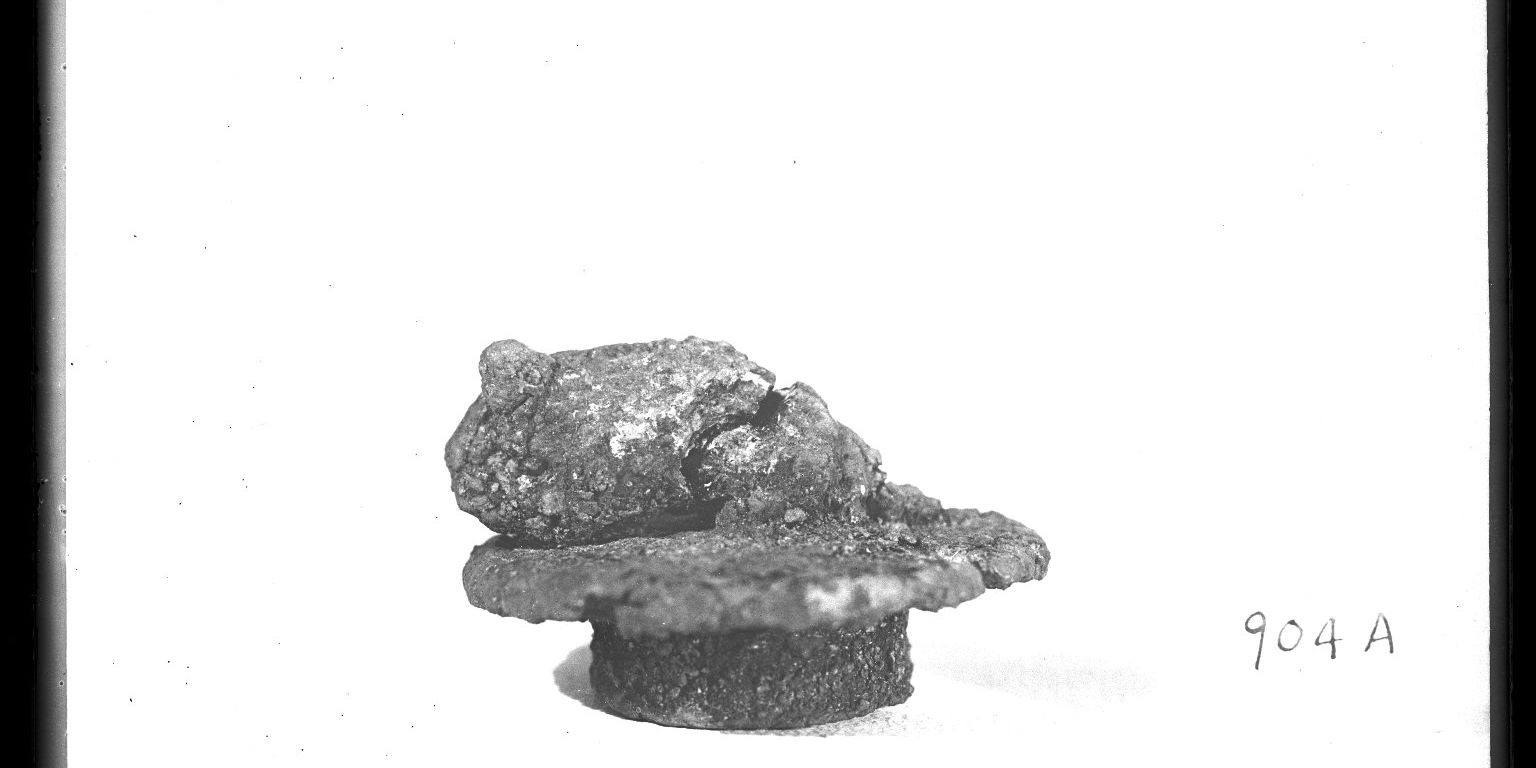 Rodent Animal · Brooklyn Museum