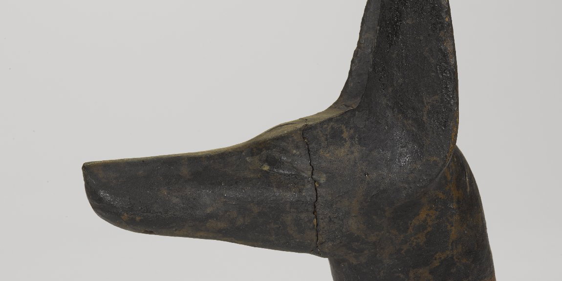Head of a Jackal · Brooklyn Museum