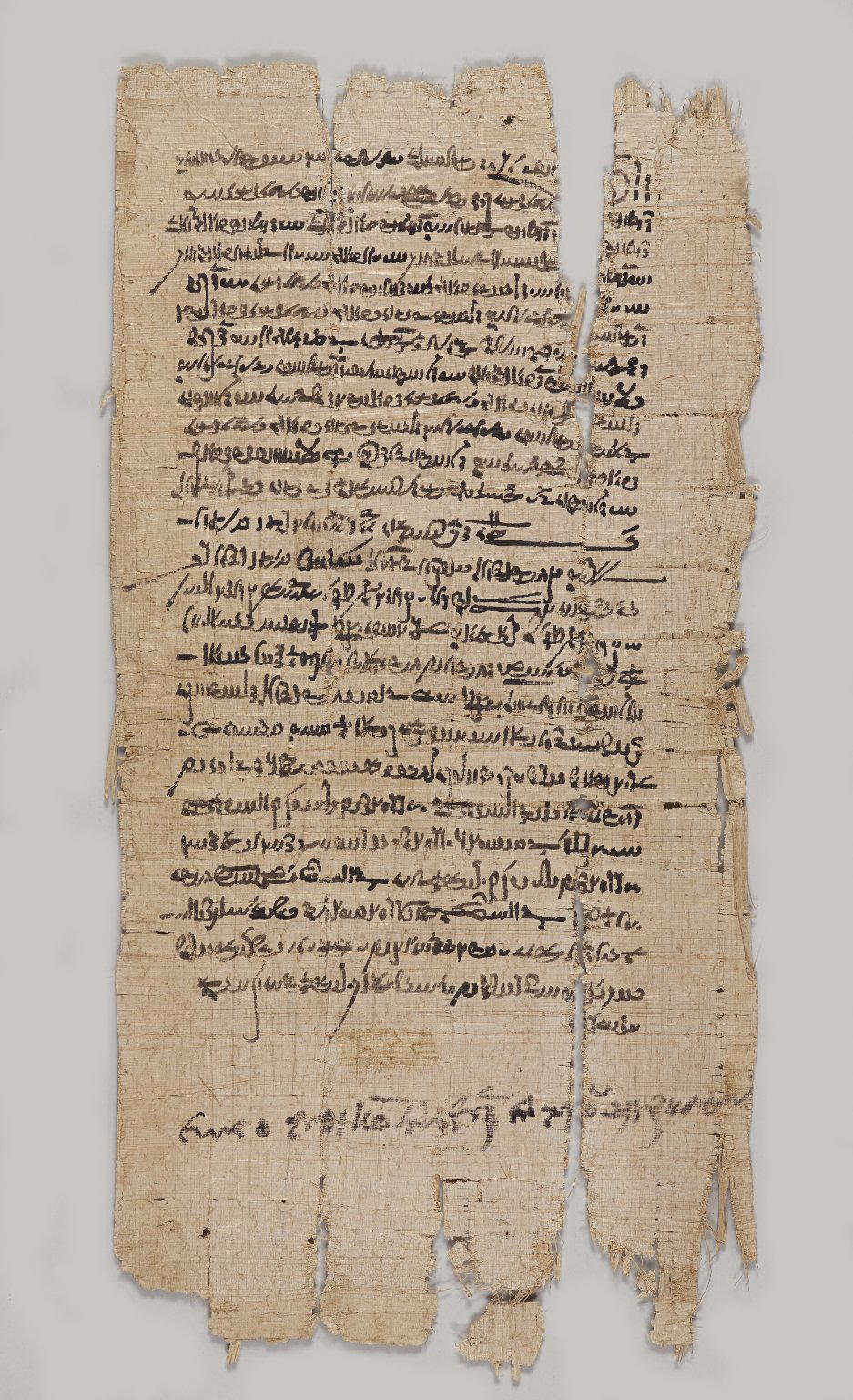 Papyrus Inscribed in Demotic and Greek · Brooklyn Museum
