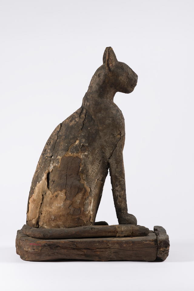 Cat Coffin with Mummy · Brooklyn Museum