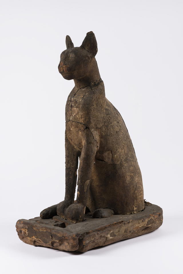 Cat Coffin with Mummy · Brooklyn Museum