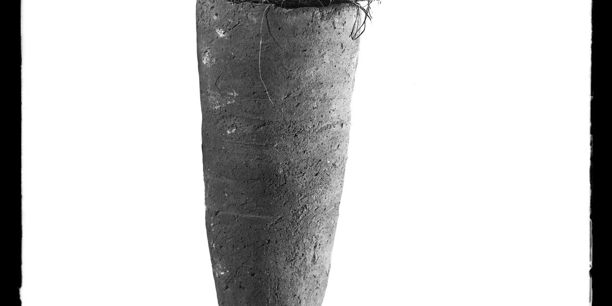 Ibis-form Mummy in Jar · Brooklyn Museum