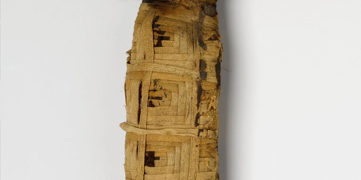 Dog Mummy · Brooklyn Museum