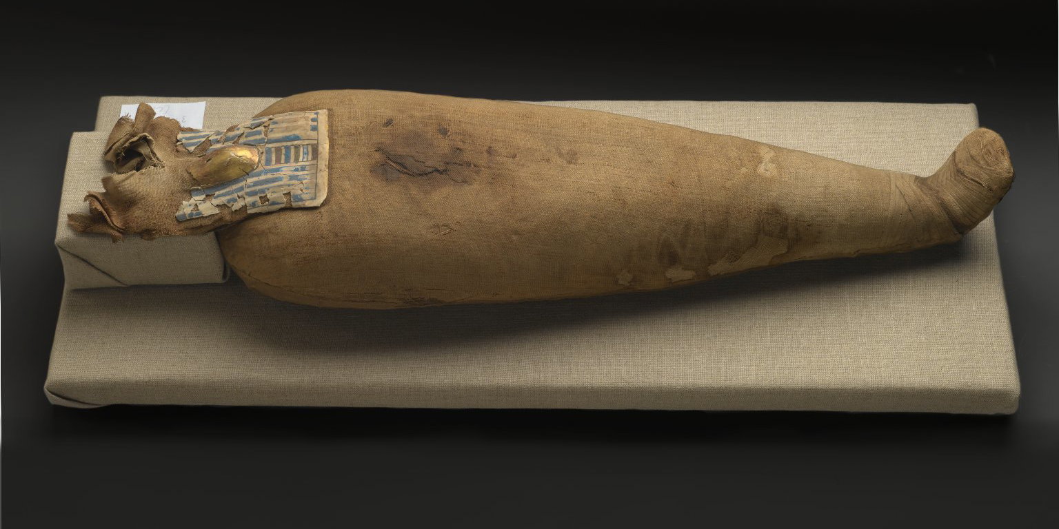 Ibis Mummy · Brooklyn Museum