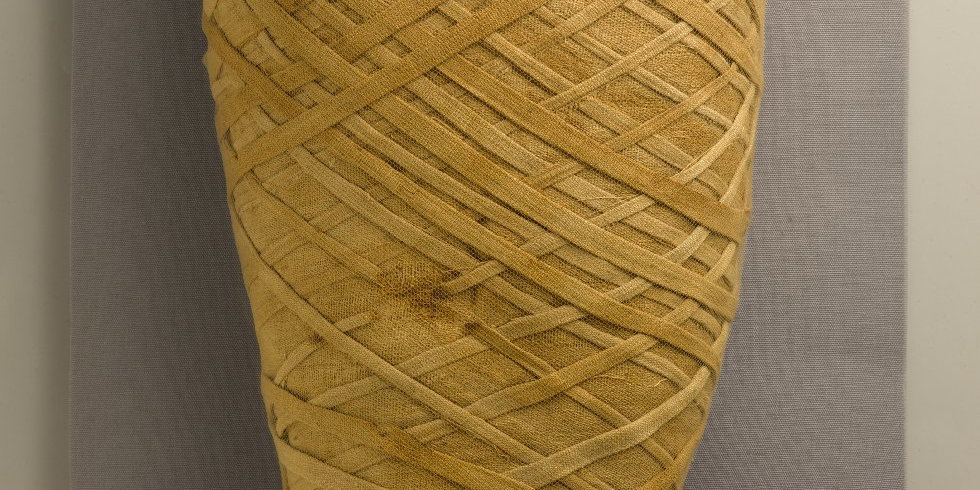 Ibis Mummy · Brooklyn Museum