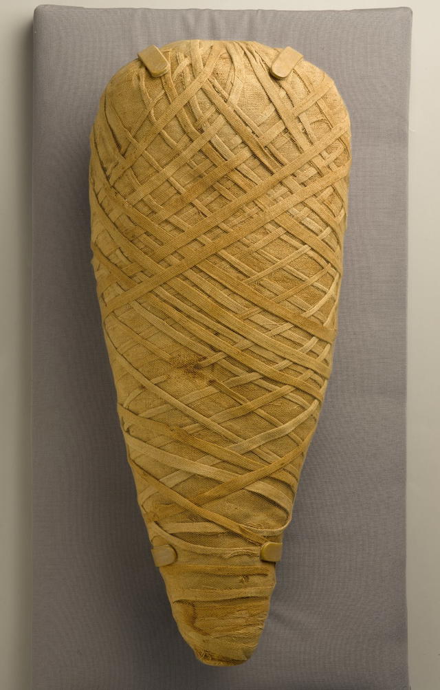 Ibis Mummy · Brooklyn Museum