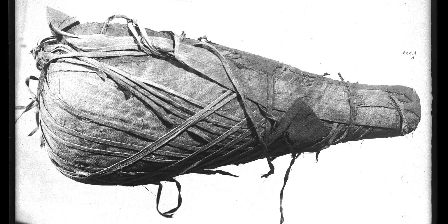Ibis Mummy · Brooklyn Museum