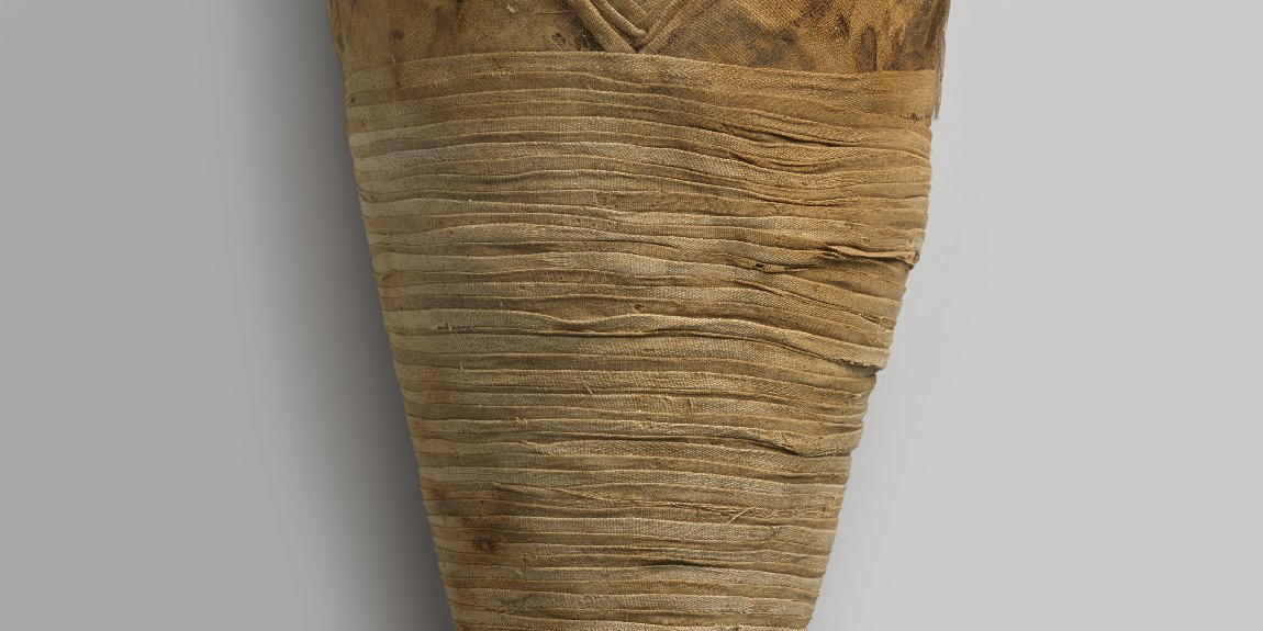 Ibis Mummy · Brooklyn Museum